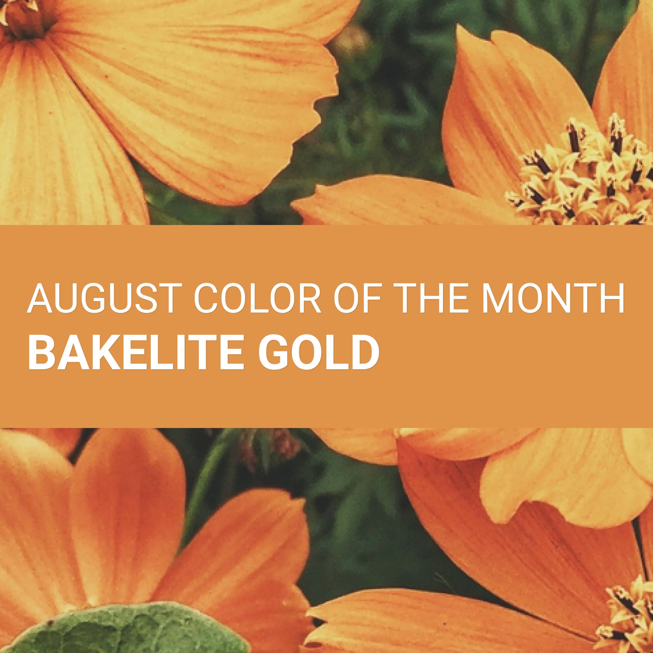 Ottawa Painters | WOW 1 DAY PAINTING